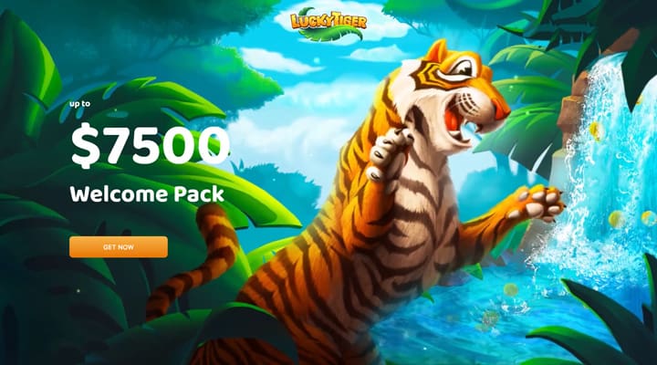 Lucky Tiger Casino for Beginners: Tips and Strategies